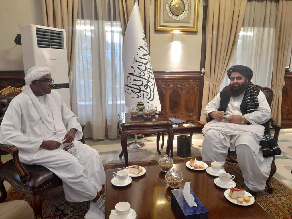 OIC Secretary General's Special Envoy for Afghanistan meets Acting ...