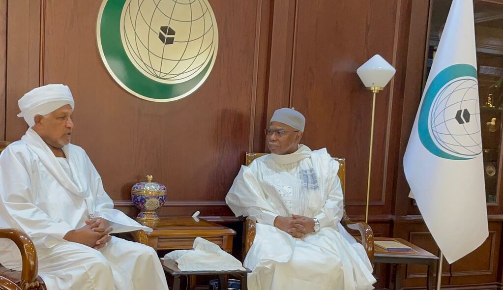 OIC Secretary-General Receives Special Envoy of Sudan Transitional ...