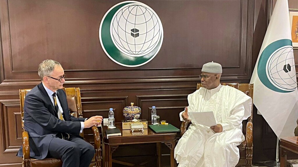 OIC Secretary-General Receives Amb. Aldrik Gierveld, Ambassador at ...