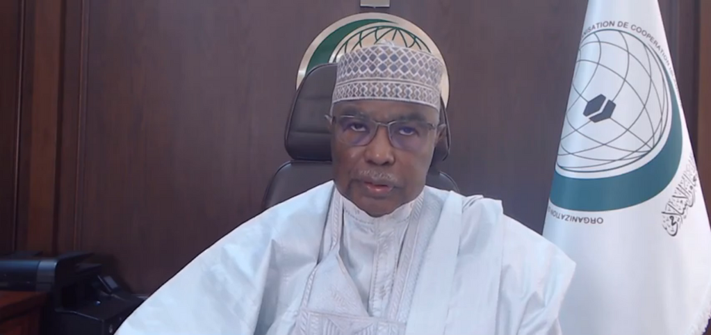 OIC Secretary-General Addresses the 8th Meeting of The Istanbul Process