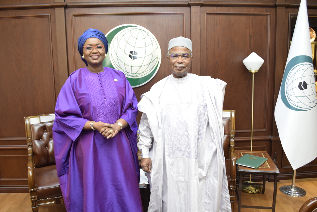 OIC Secretary-General Meets with the Minister of Economy, Planning and ...