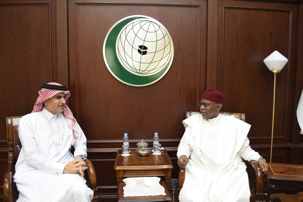 OIC Secretary-General Receives Director of International Organizations ...