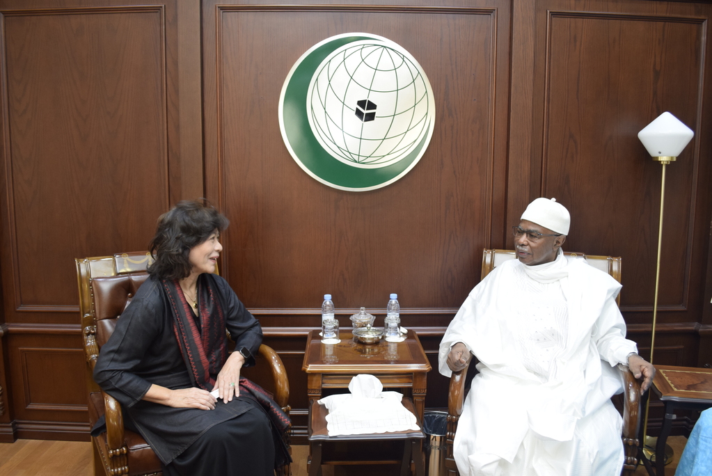 OIC Secretary General Receives the Special Envoy of the Secretary ...